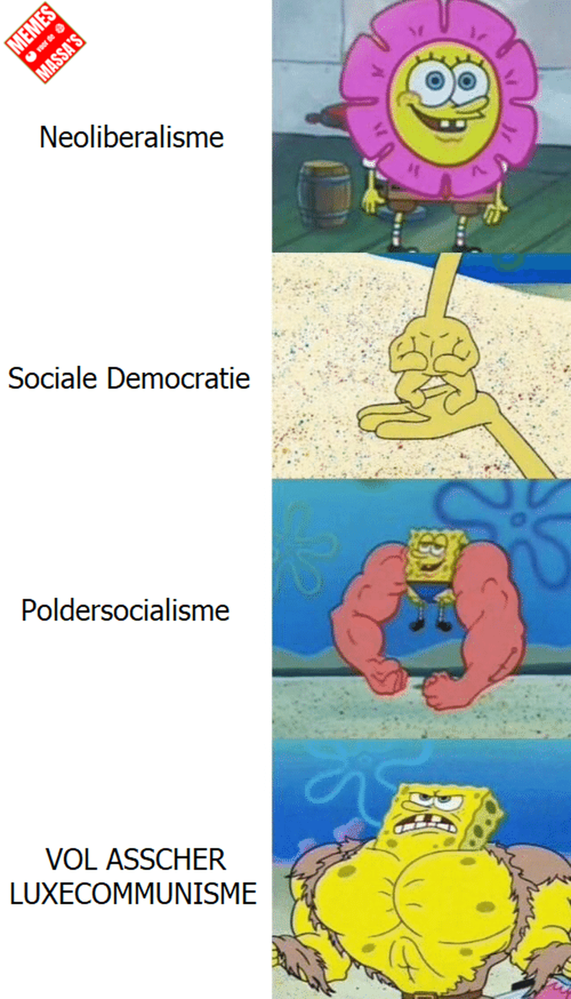 Kunnen Nederlandse politieke activisten een beetje memen? Mwah. Oordeel ...