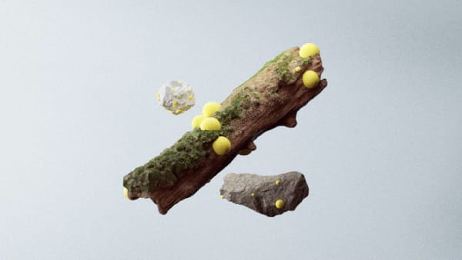 Jan van Poppel - De Correspondent