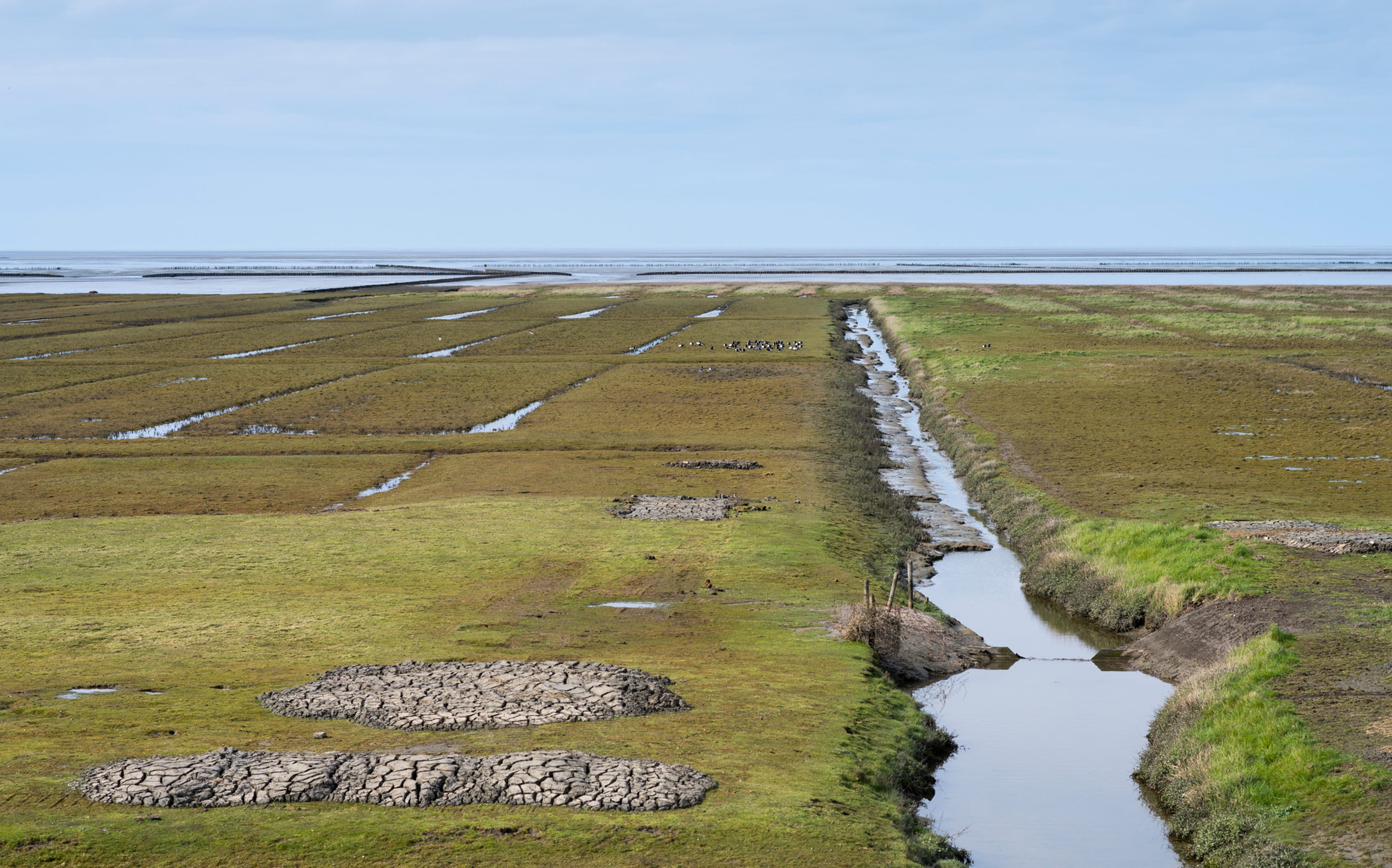 Het waddengebied is beschermd, maar niet tegen Economische Zaken - De ...