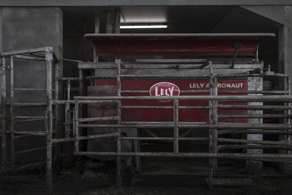 Hierdoor blijven Nederlandse boeren steeds meer melk produceren (ook ...