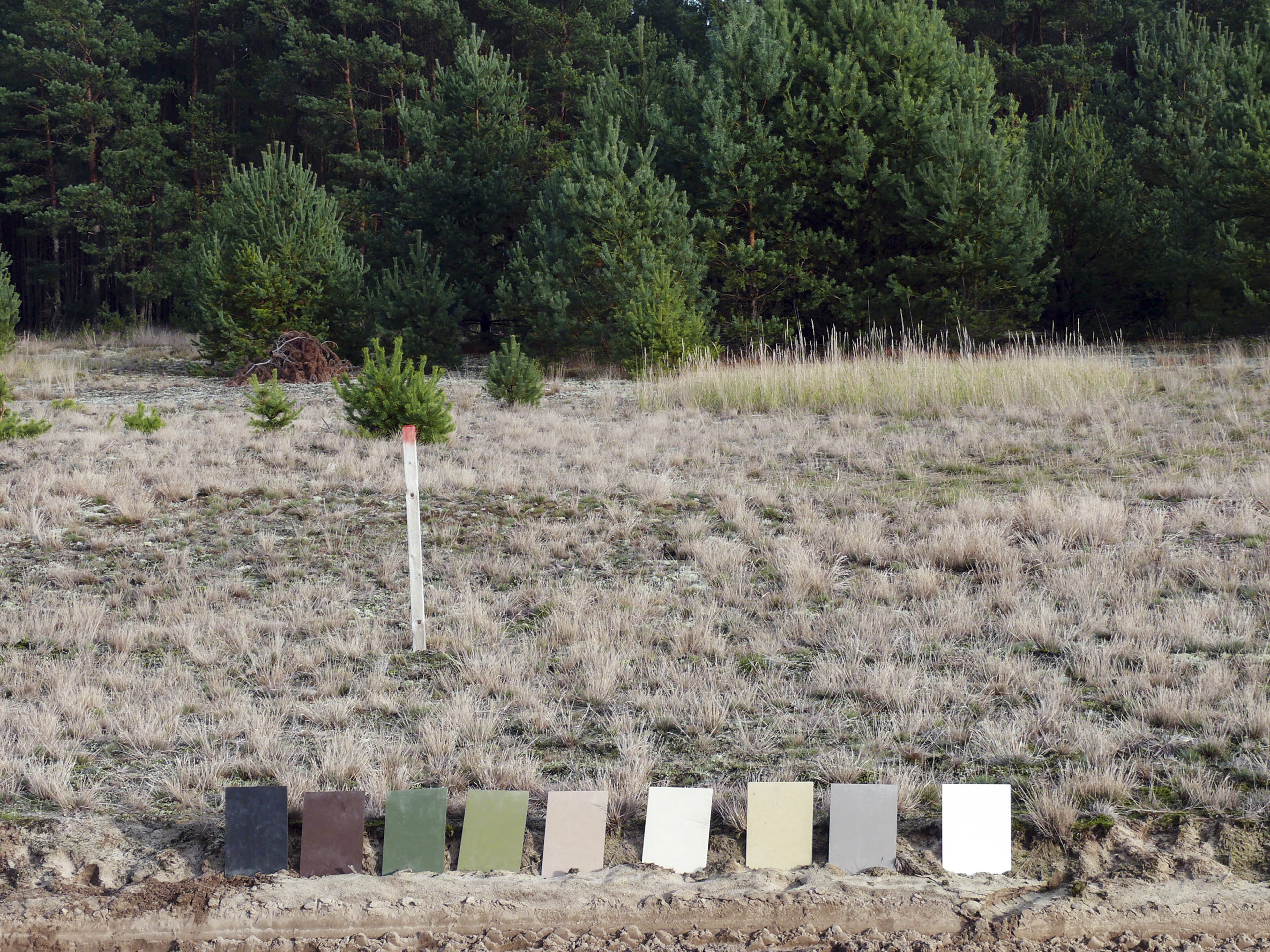De nieuwste wapenwedloop gaat niet om bommen, maar om algoritmes (en ...